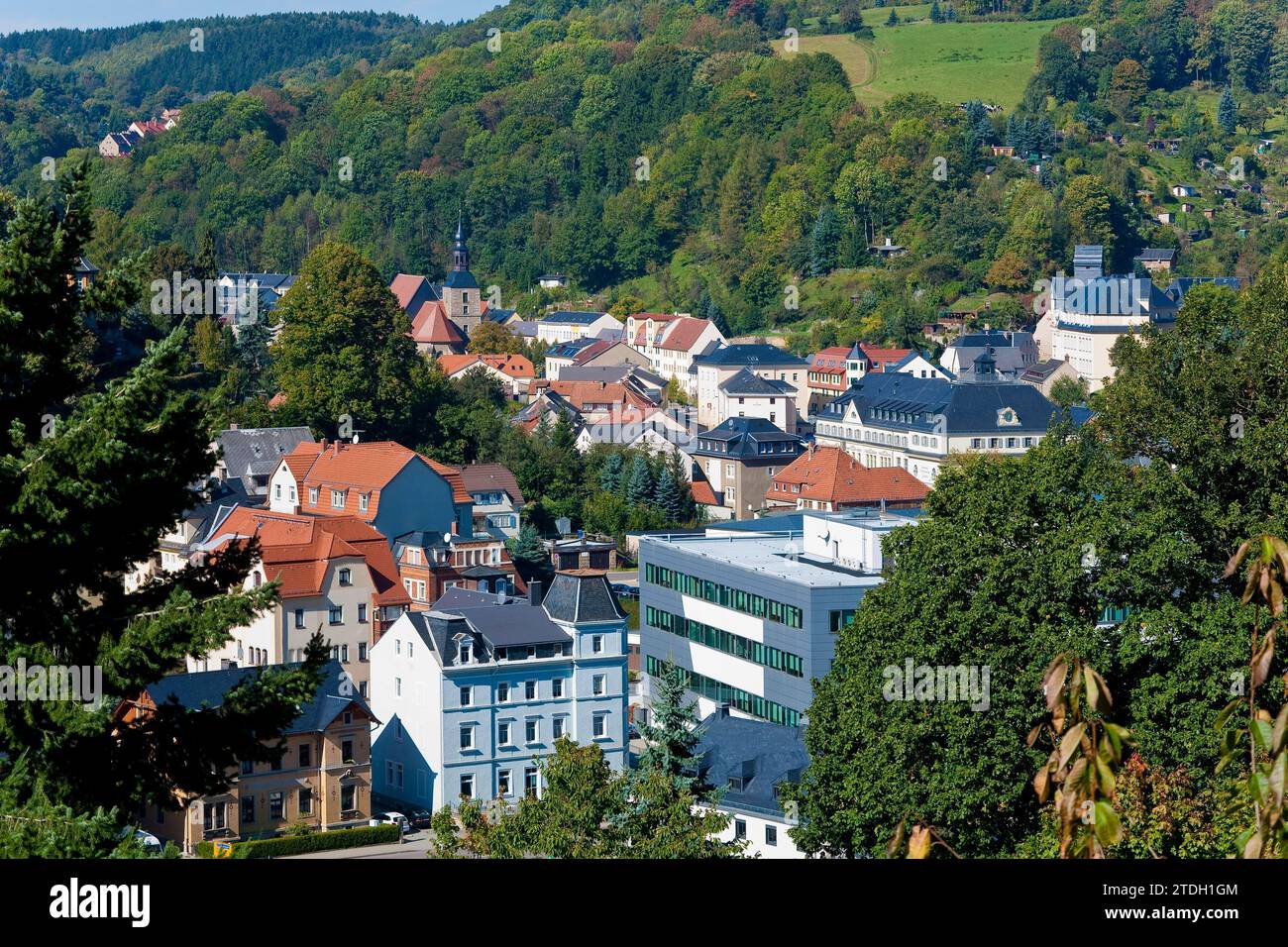 The German Watch Museum Glashuette is a watch museum of international ...