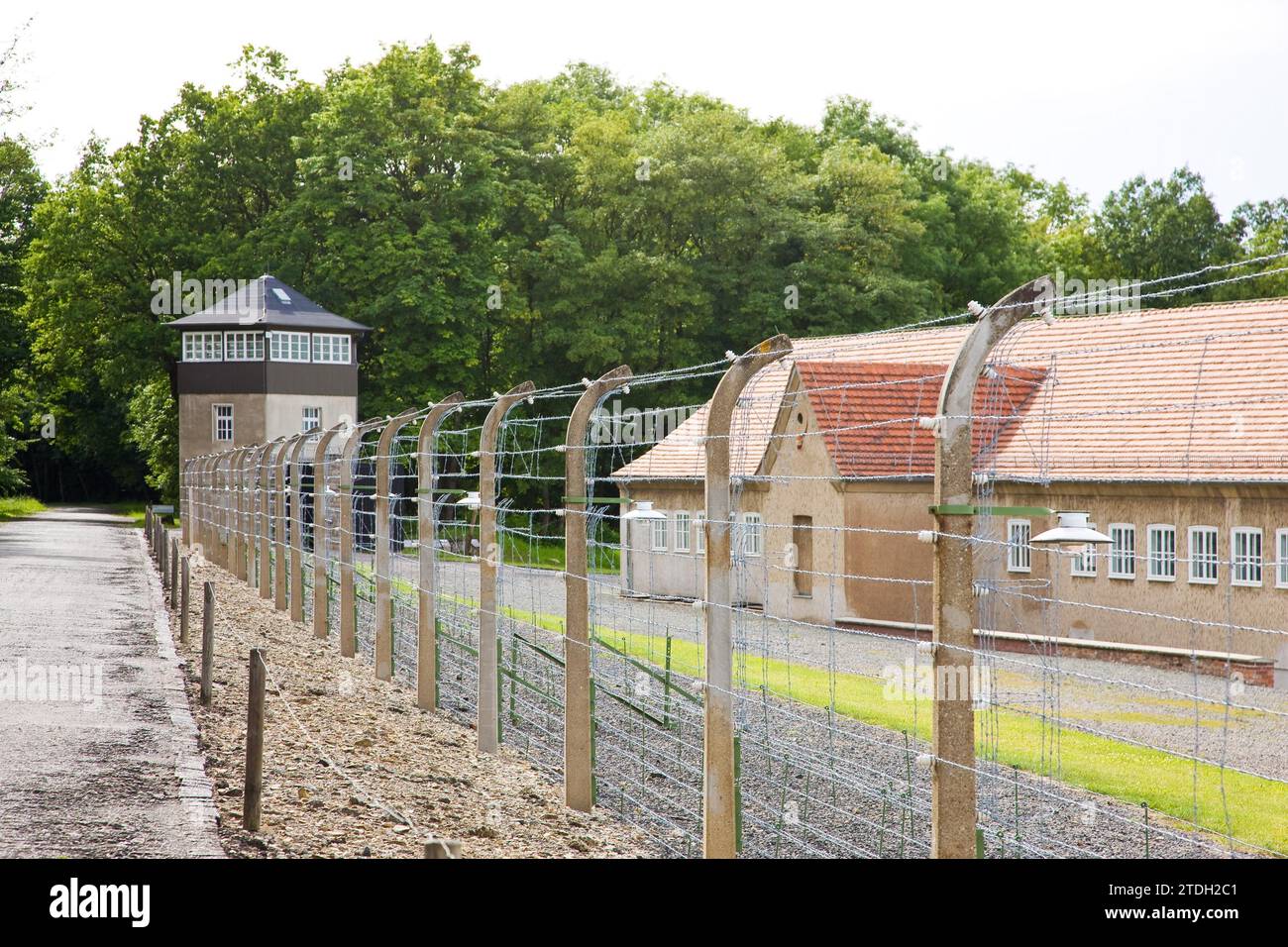 Beech forest concentration camp Stock Photo - Alamy