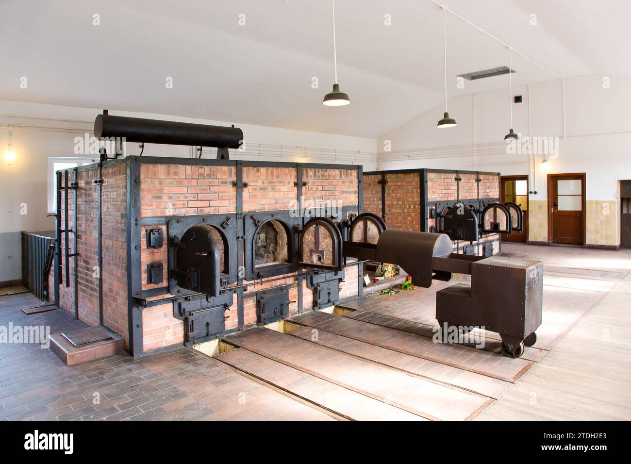 Beech forest concentration camp Stock Photo - Alamy