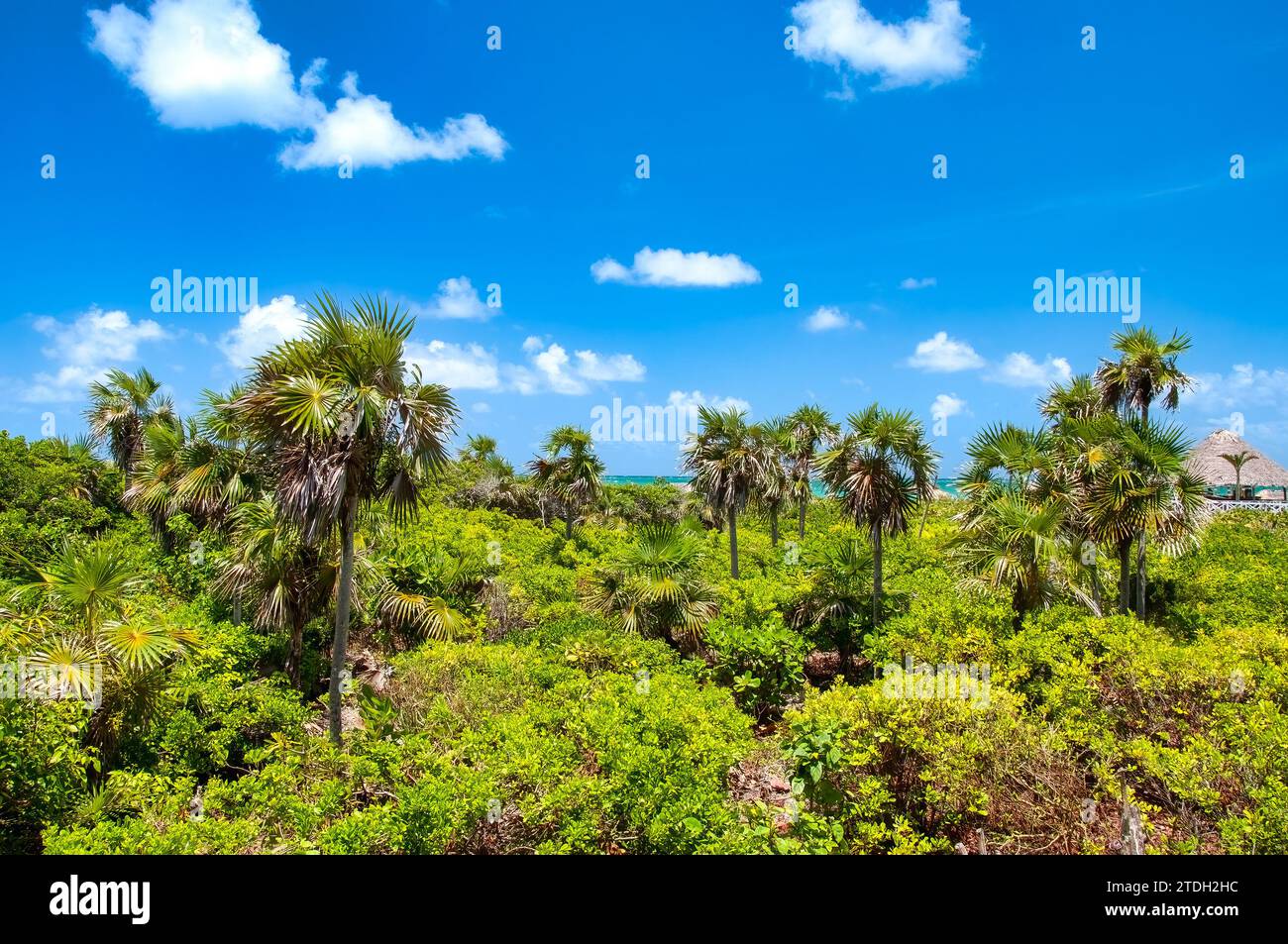 Cayo santa maría hi-res stock photography and images - Alamy
