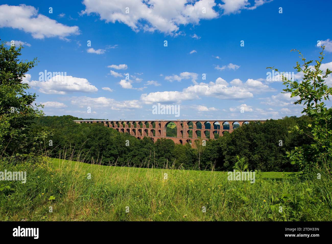 Bridge saxony railway locomotive hi-res stock photography and images ...