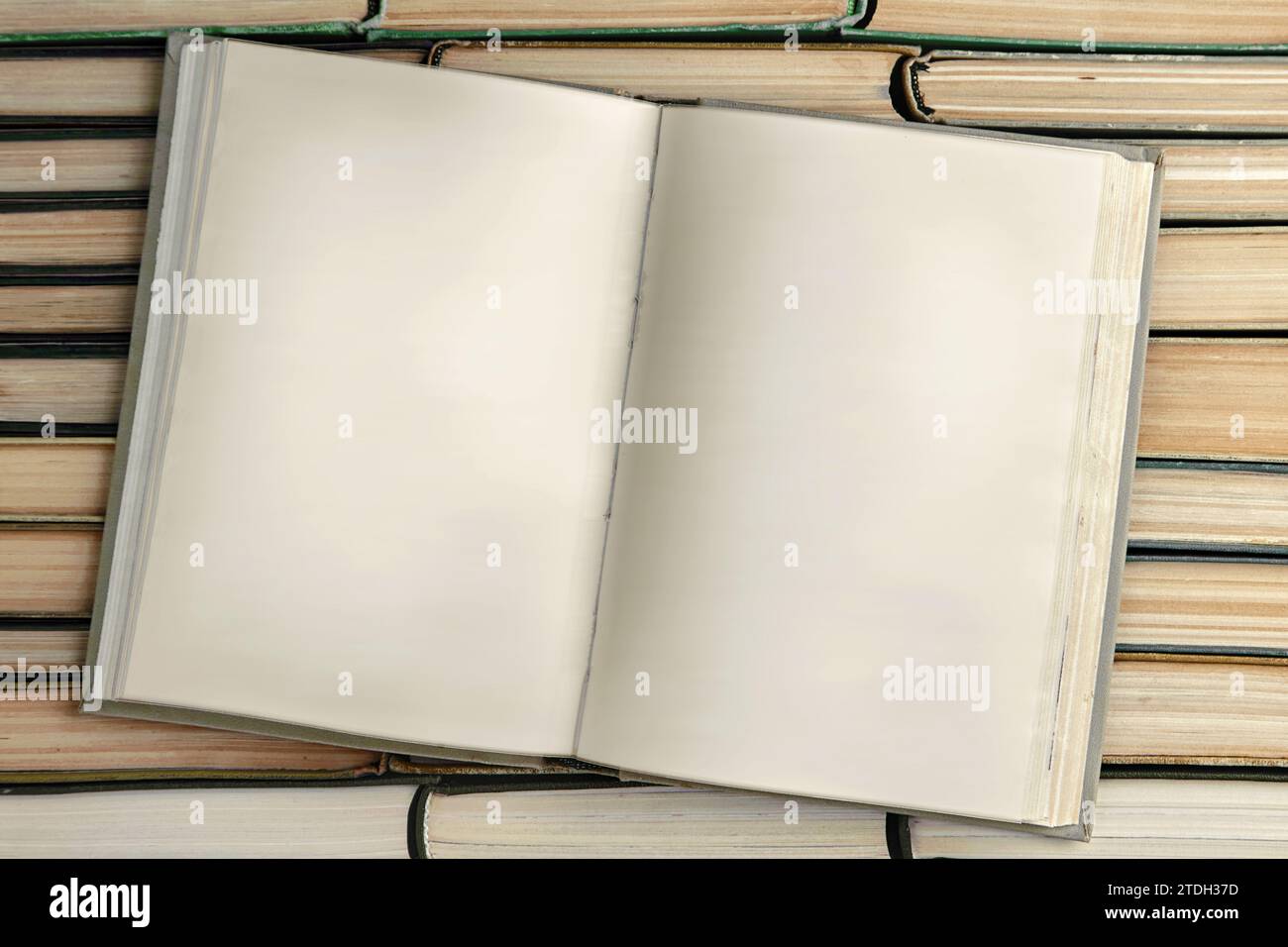 Old open book with blank pages hi-res stock photography and images - Alamy