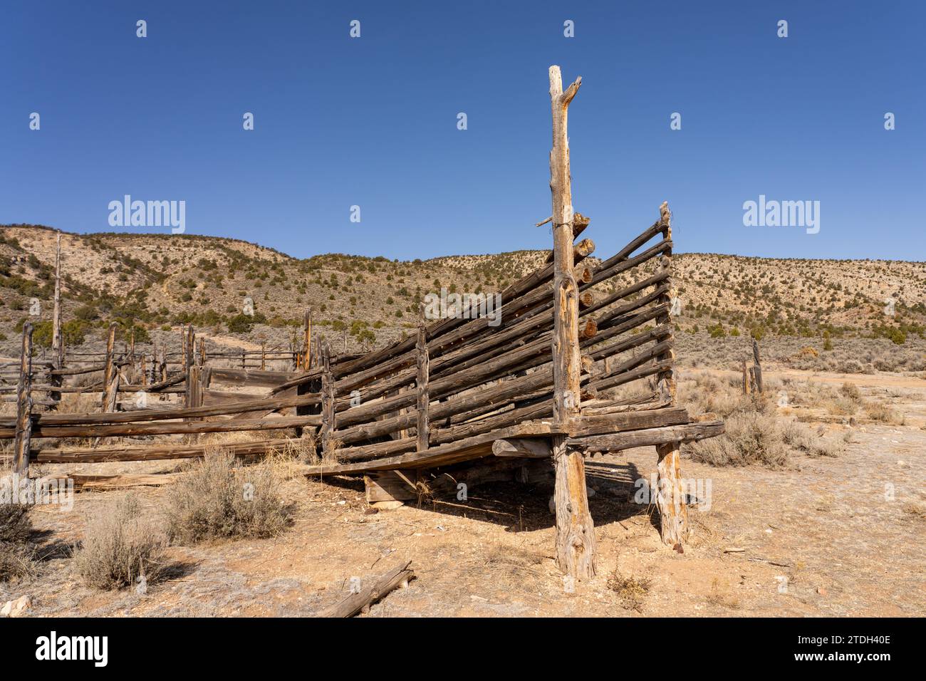 An old loading chute at a pole corral from a former ranch in the ...