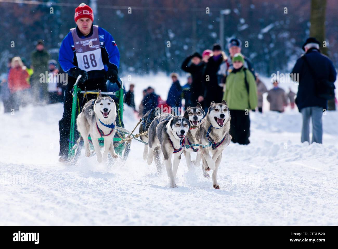 Sled dog trail hi-res stock photography and images - Alamy