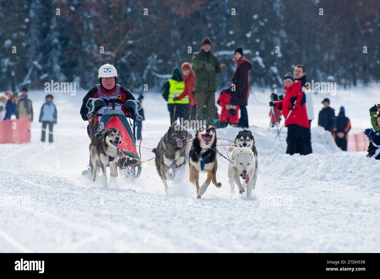 Sled dog trail hi-res stock photography and images - Alamy