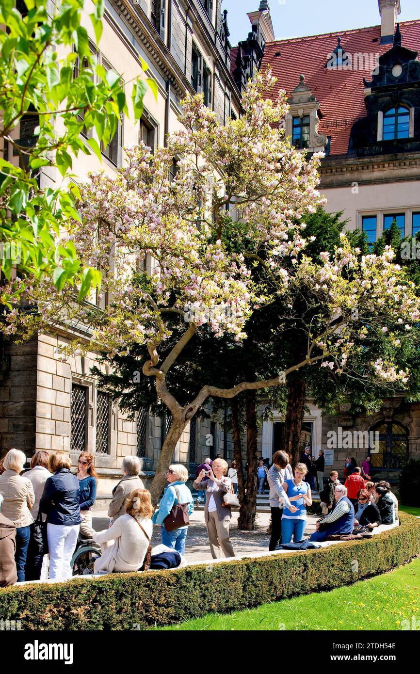 Residential Palace in spring. Large parts of the Residenzschloss in Dresden have already been ...