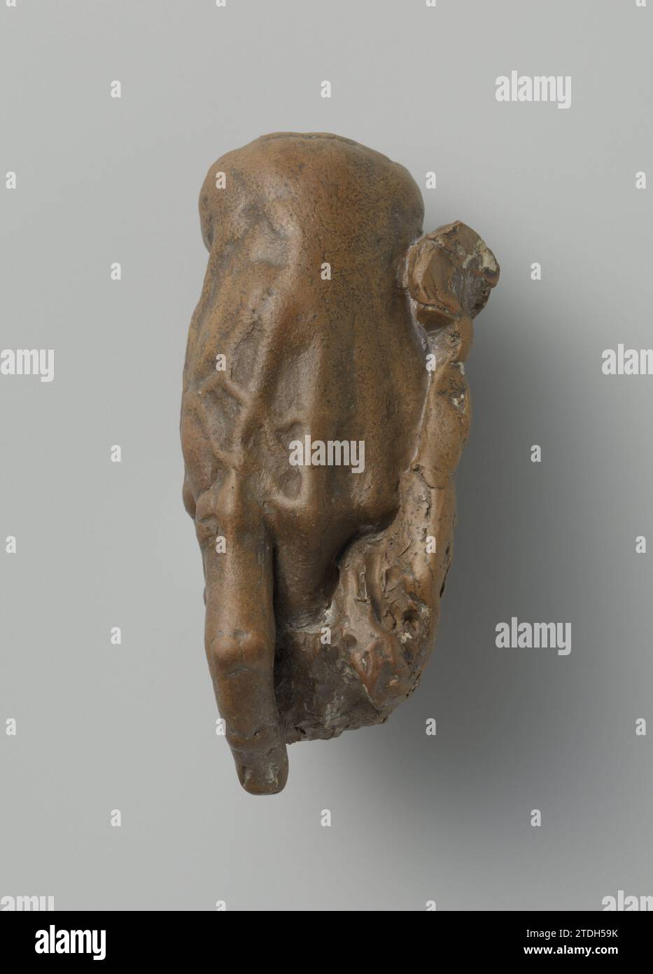 Study Models of Parts of the Body, Johan Gregor van der Schardt ...