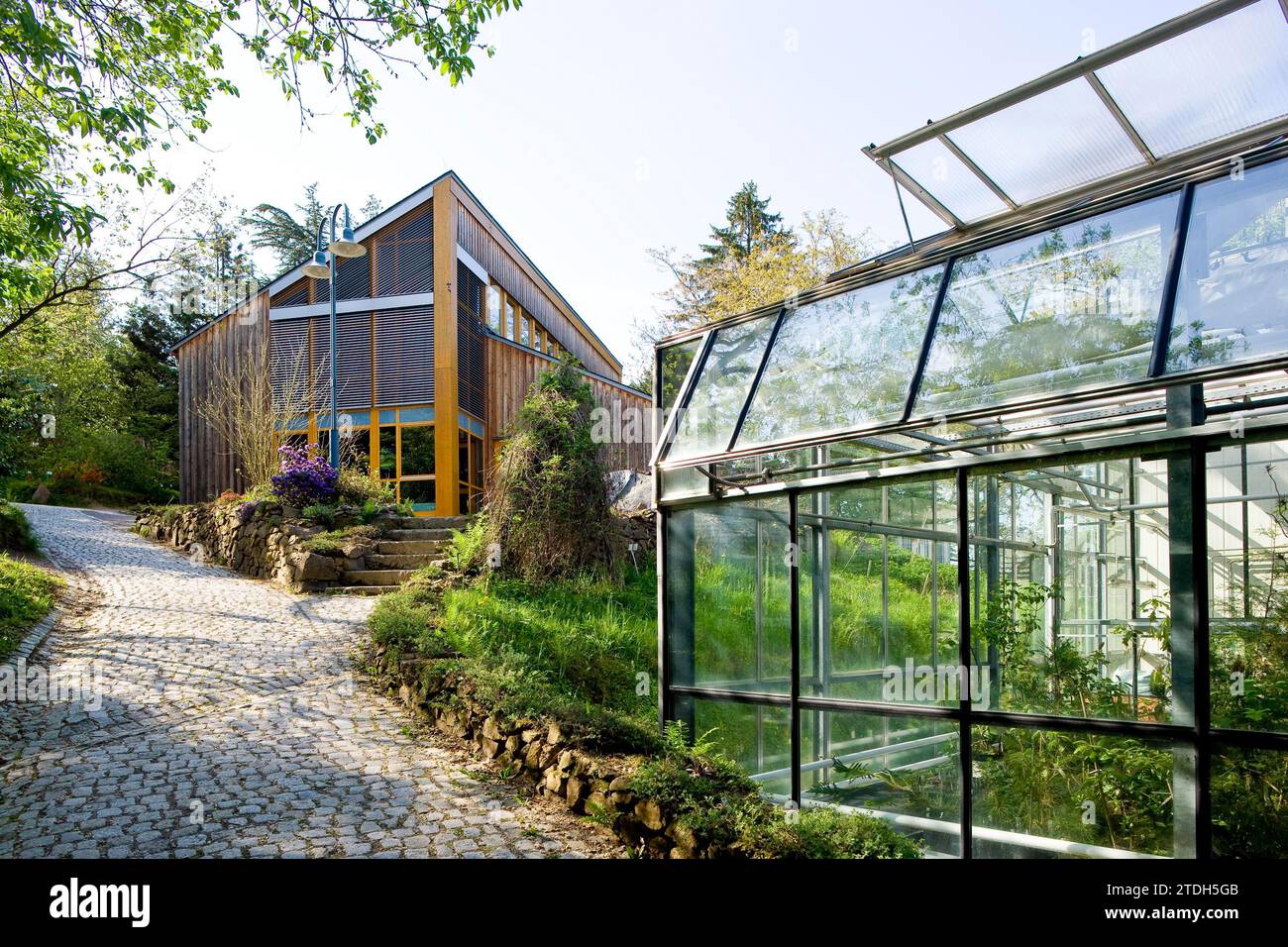 Tharandt Forest Botanical Garden of the TU Dresden Stock Photo - Alamy