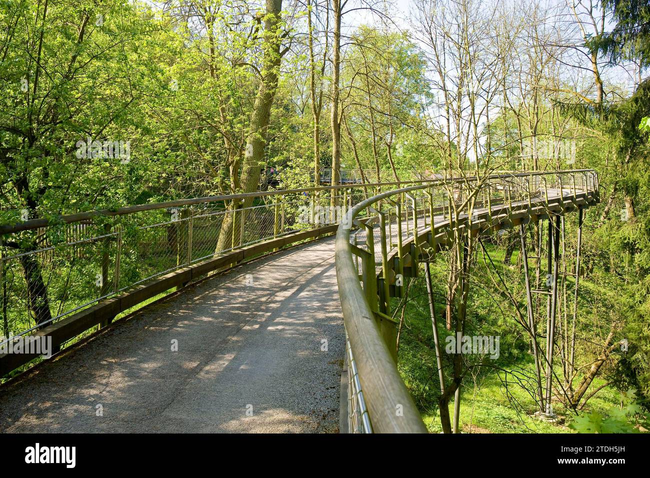 Tharandt Forest Botanical Garden of the TU Dresden, Zeisiggrundbruecke ...
