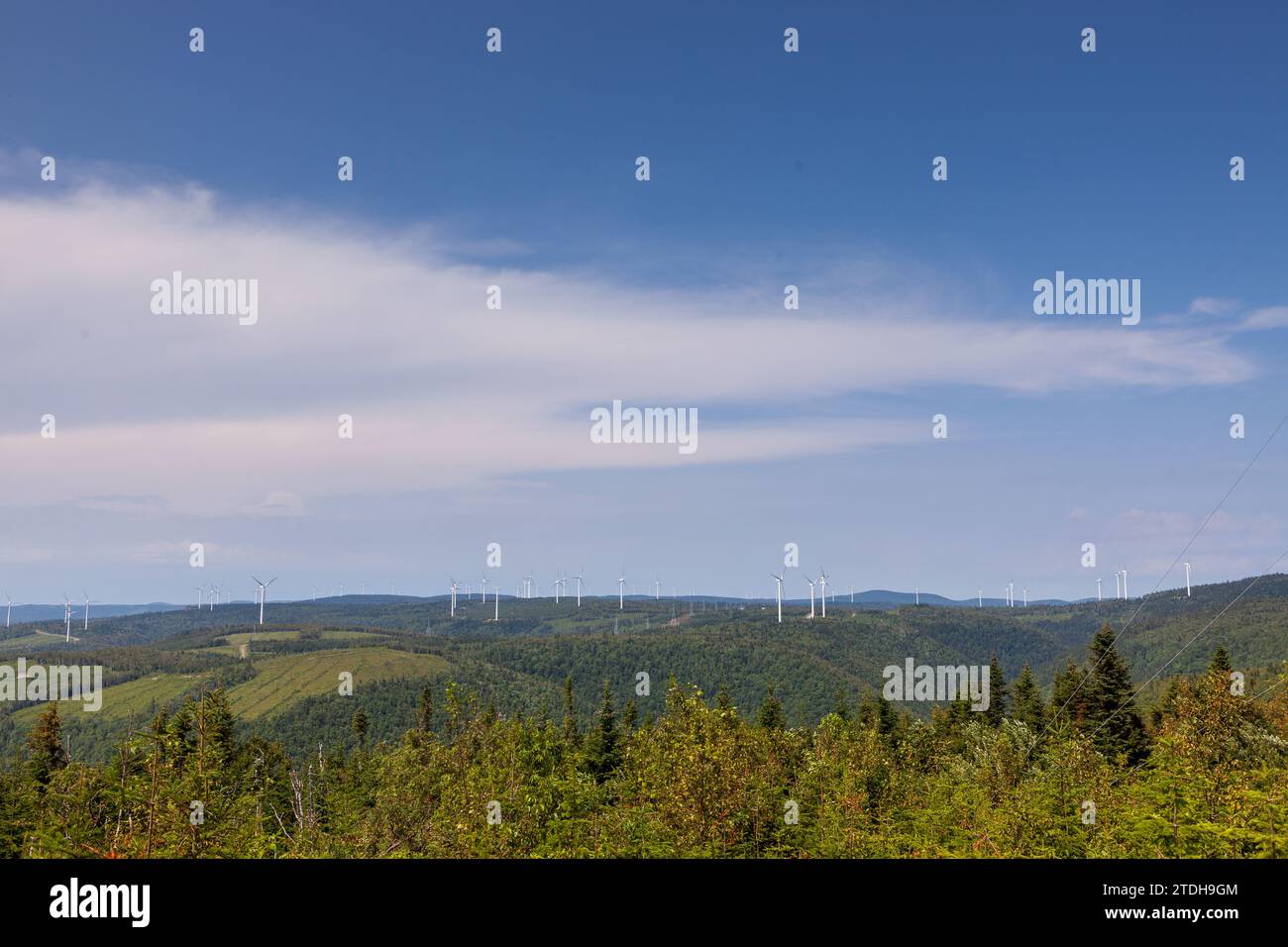 Wind farm in Gaspésie, Quebec, Canada Stock Photo - Alamy