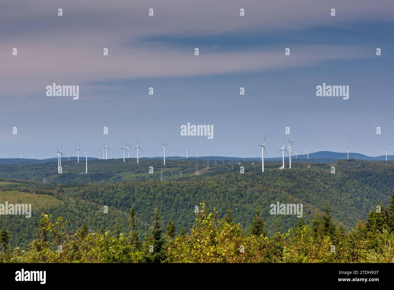 Wind farm in Gaspésie, Quebec, Canada Stock Photo - Alamy