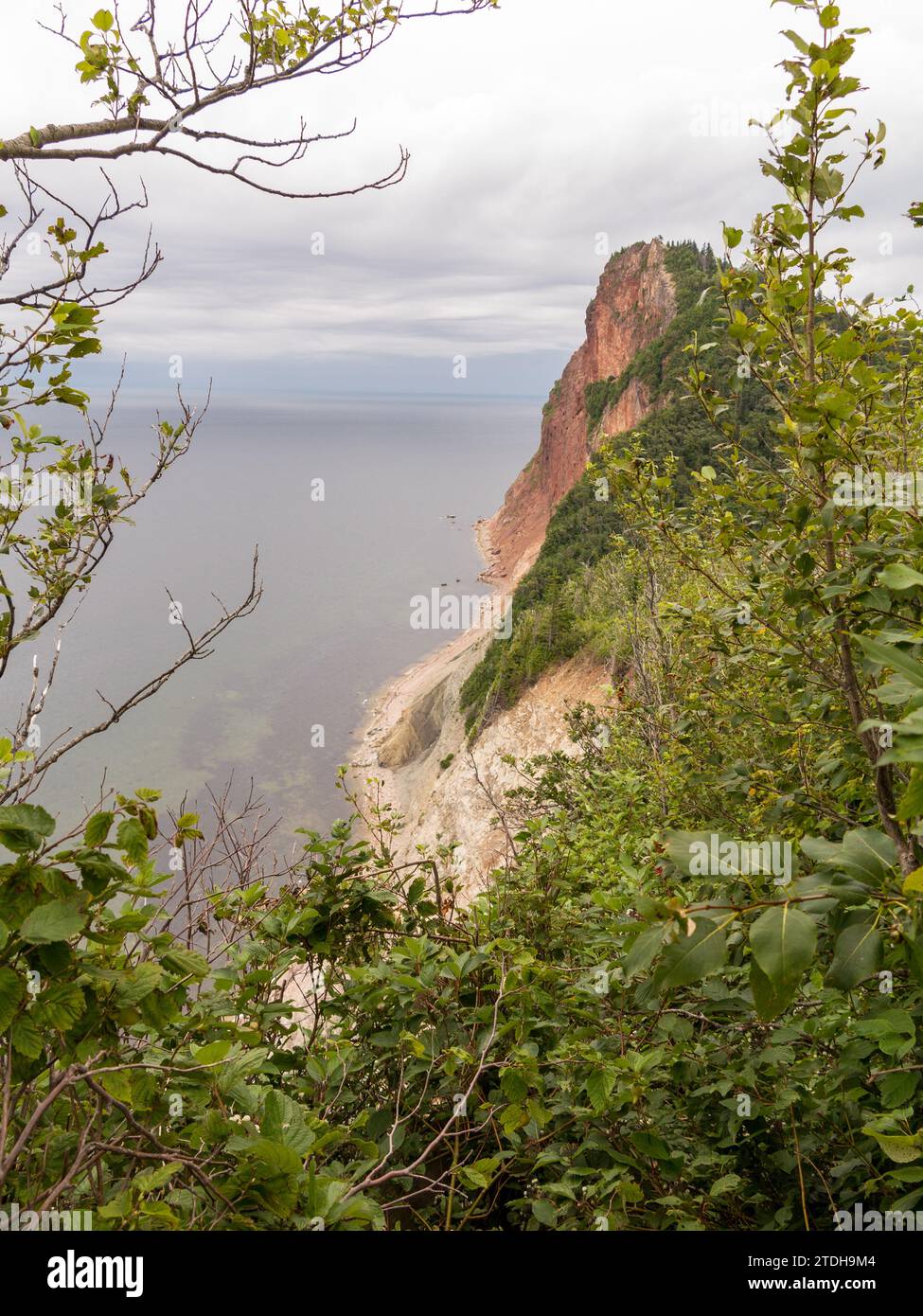 Valdivian coastal reserve hi-res stock photography and images - Alamy