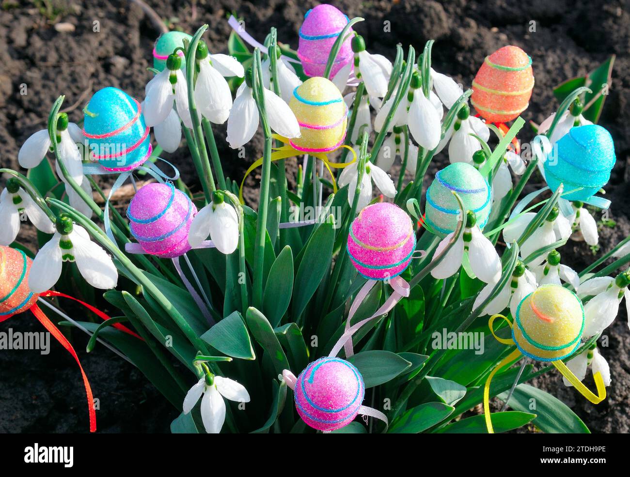Snow-white snowdrops and decorative eggs on a spring background. Easter ...