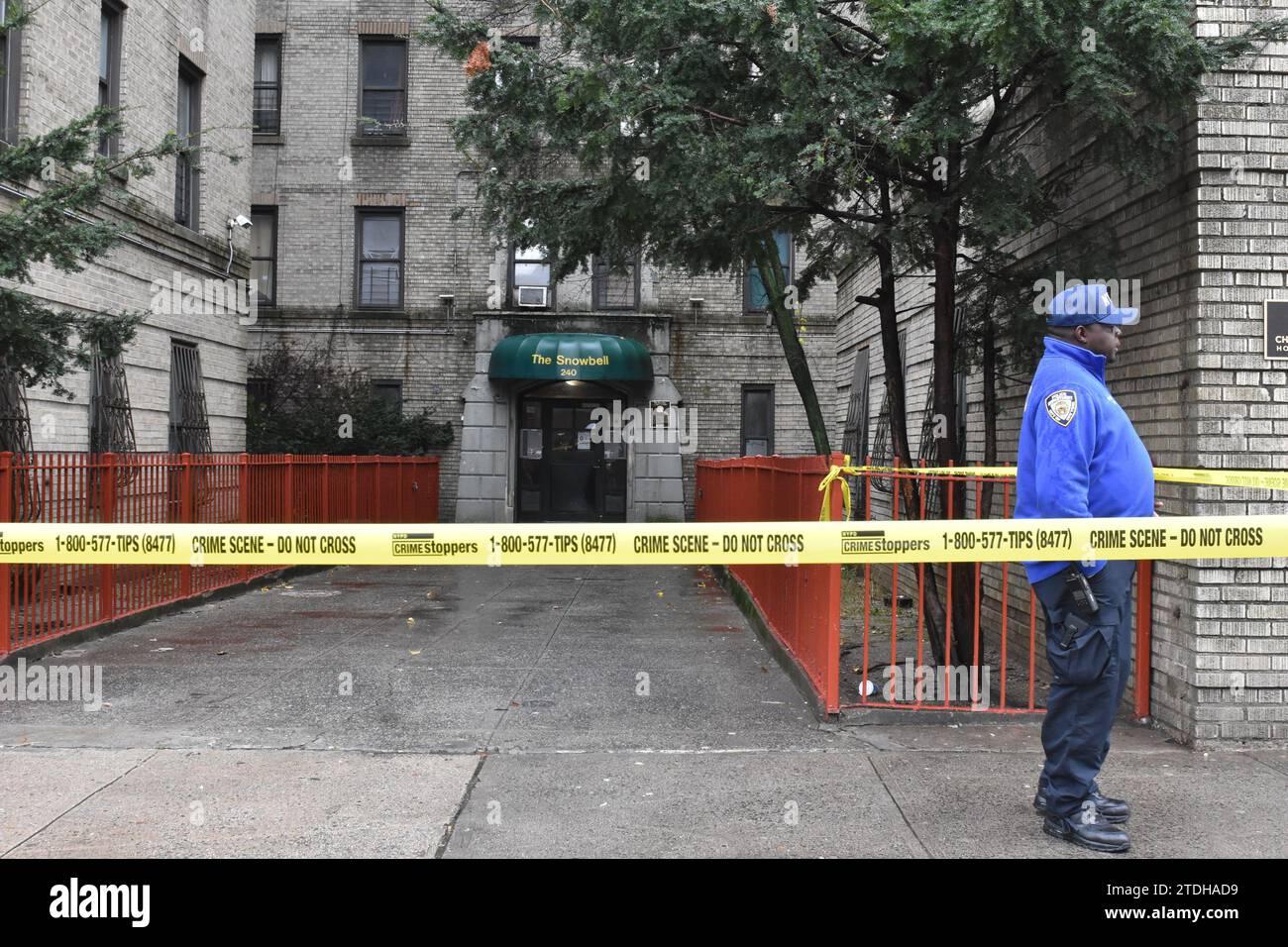 Five decembers hi-res stock photography and images - Alamy