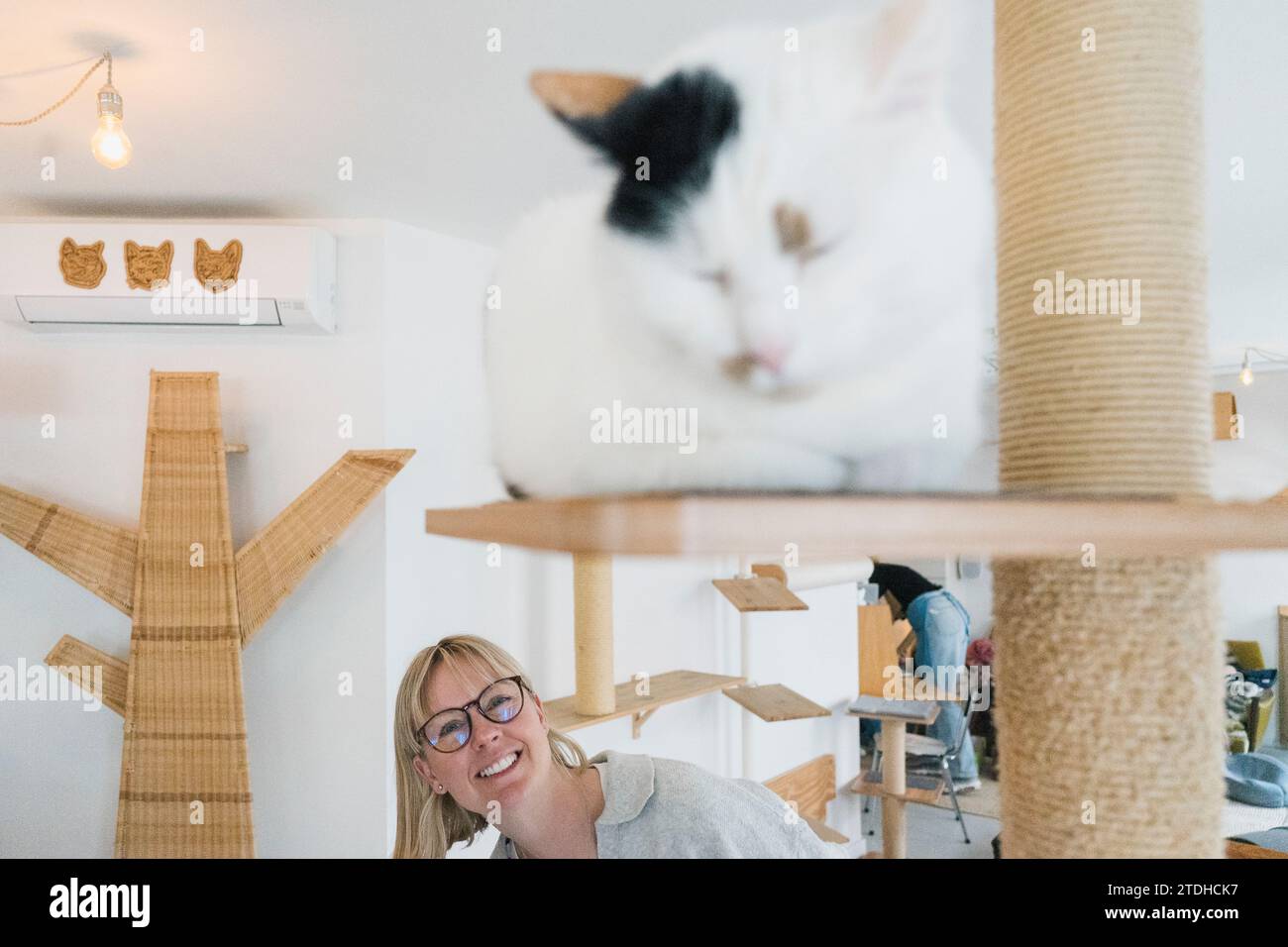 A family enjoy their time in an unusual cat cafe surrounded by cats ...