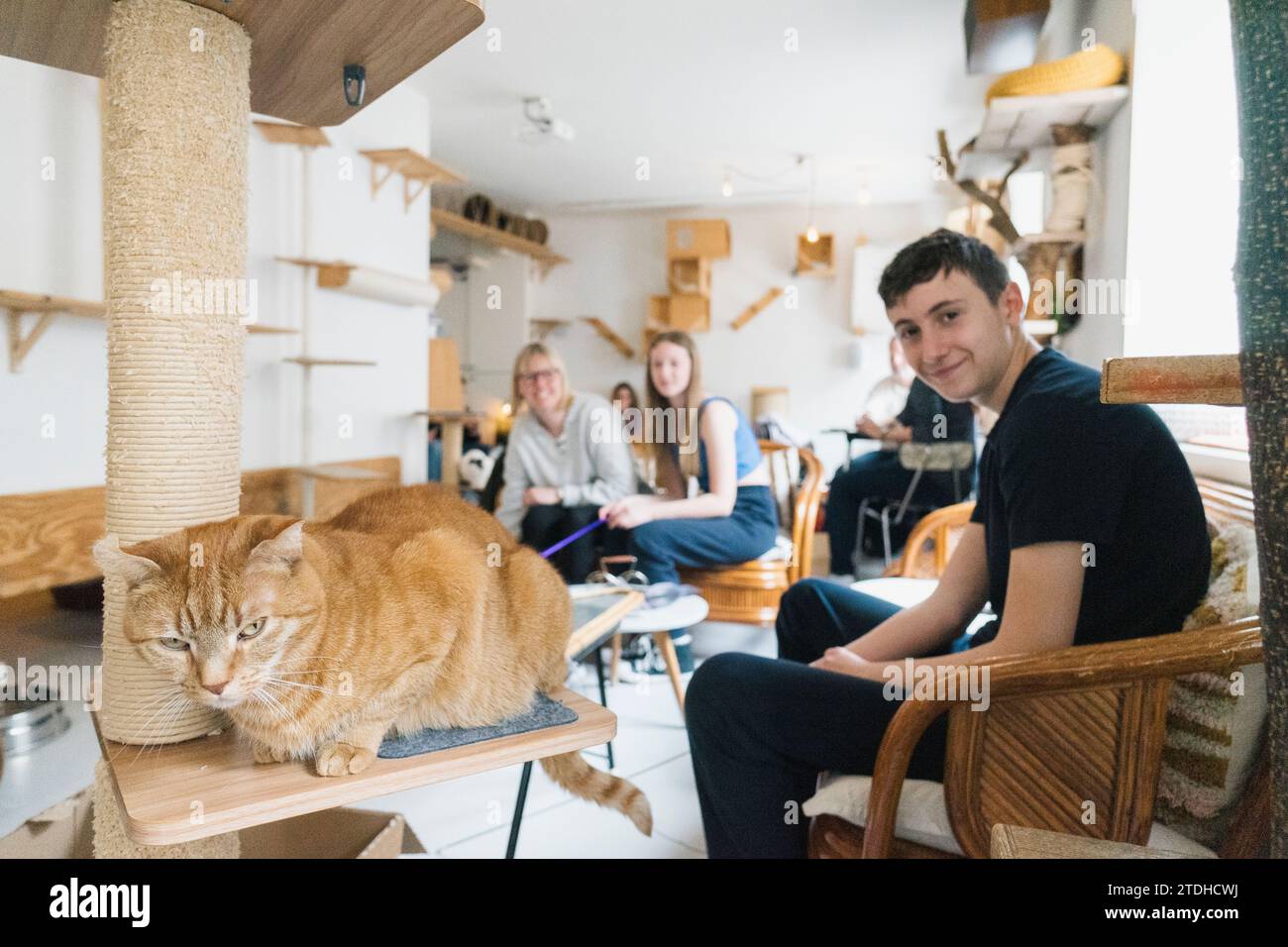 A family enjoy their time in an unusual cat cafe surrounded by cats ...