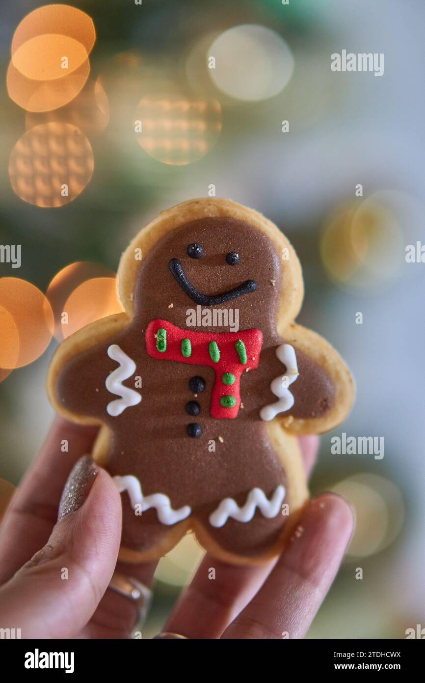 Close up brown gingerbread man cookie cutout glossy icing isolated ...