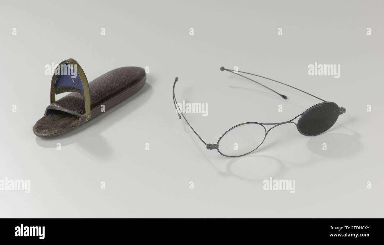 Glasses with oval glasses in blue steel, hinged frame, with one ...