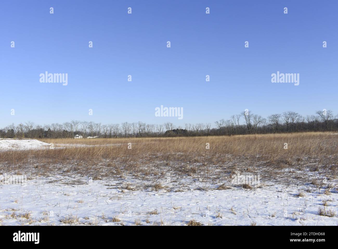 Image of a windy field of snow stretching to the horizon Stock Photo ...
