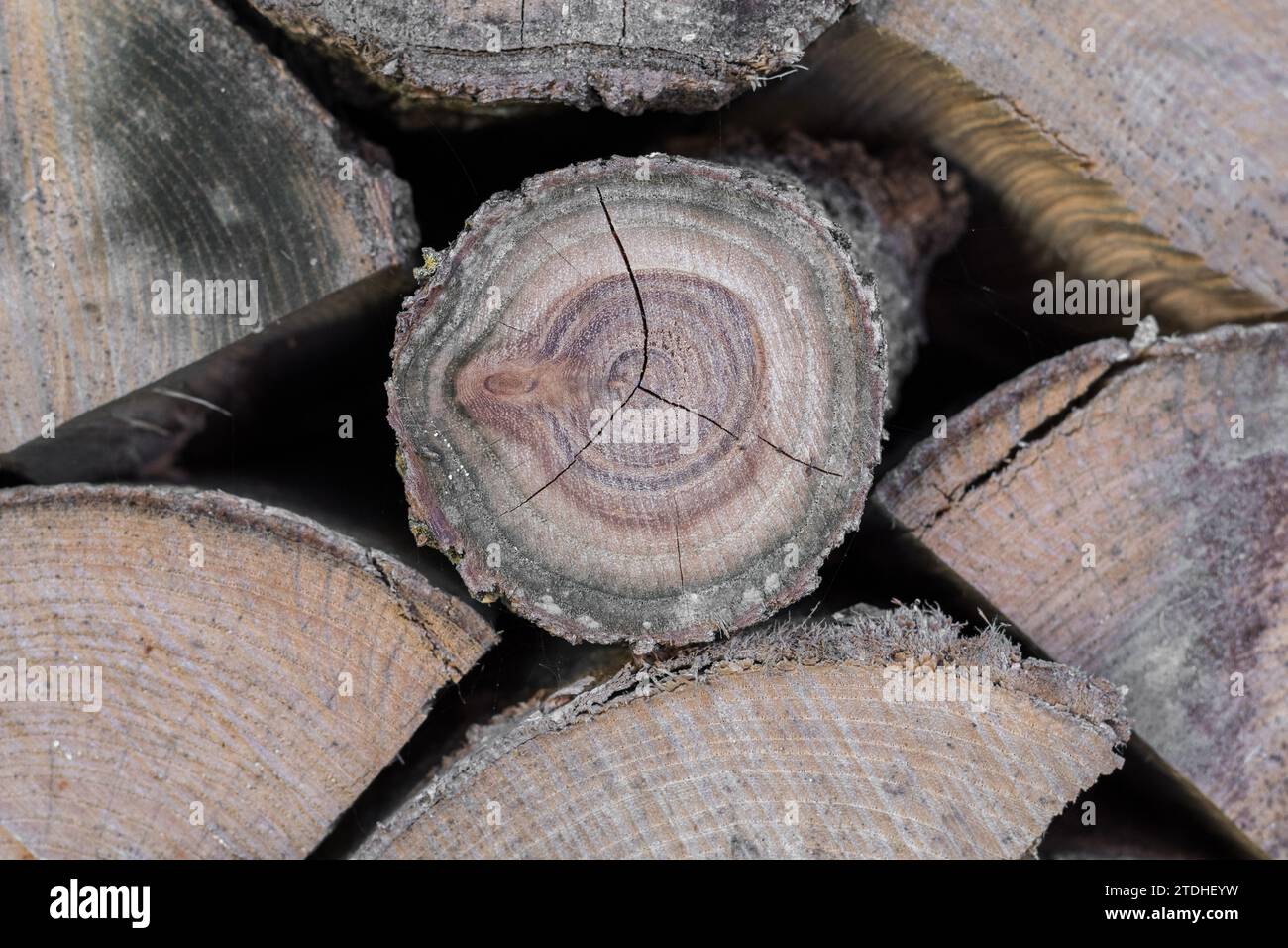 Old interior wall section hi-res stock photography and images - Alamy