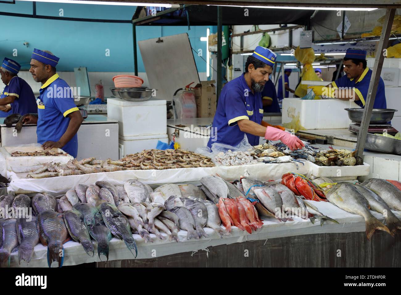 Fish market jeddah saudi arabia hi-res stock photography and images - Alamy