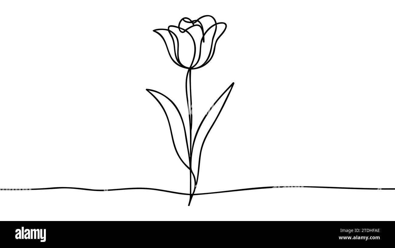 Tulip one line drawing.Abstract flower continuous line. Minimalist ...