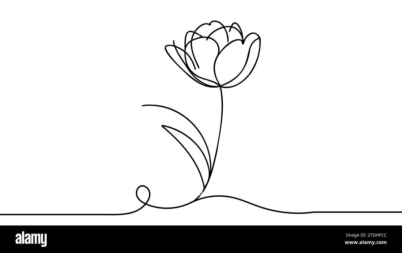 Tulip one line drawing.Abstract flower continuous line. Minimalist ...