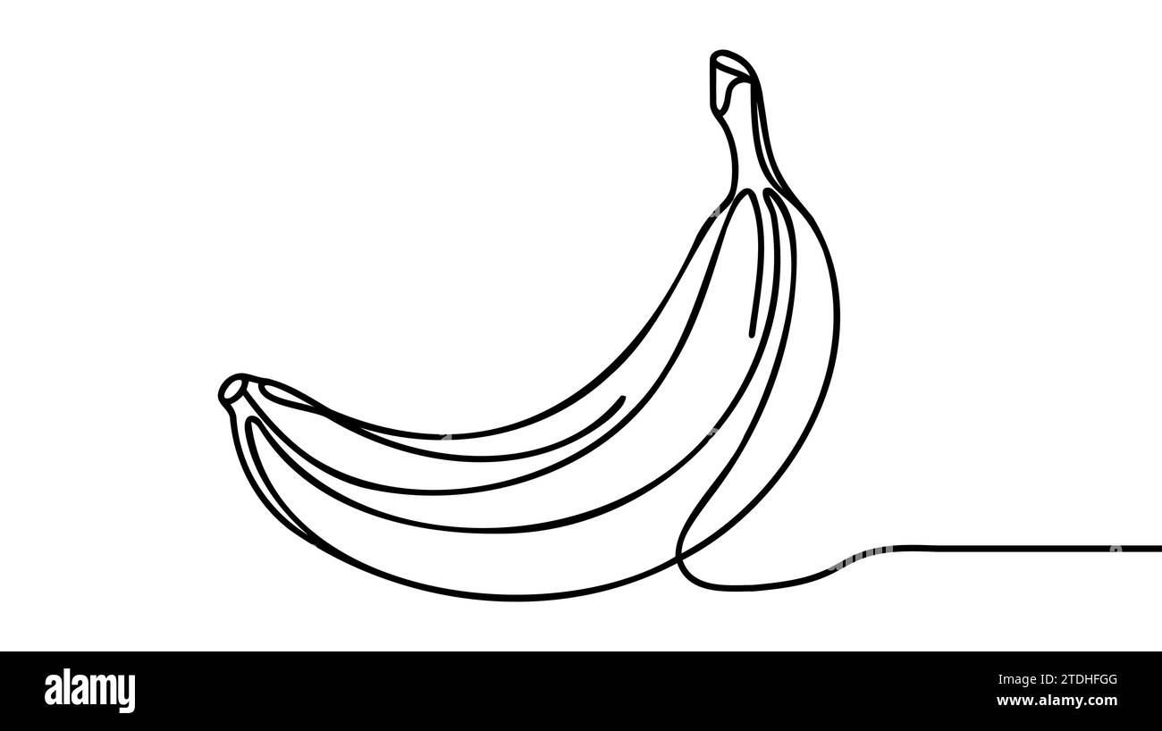 One line drawing of isolated vector object. Vector illustration ...