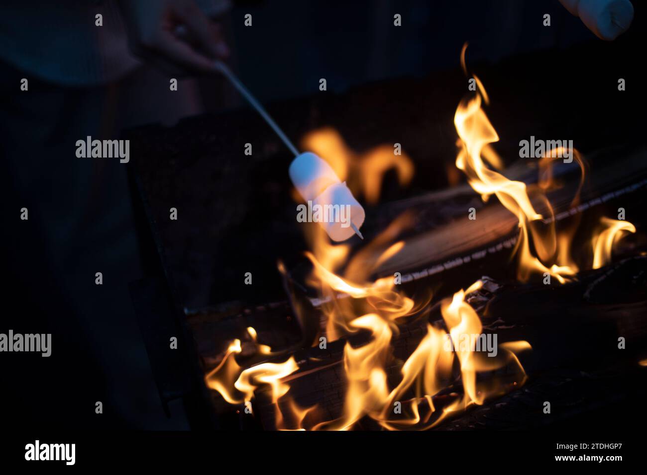 Picnic with a campfire. Cooking on the fire. Party in the woods. Young ...