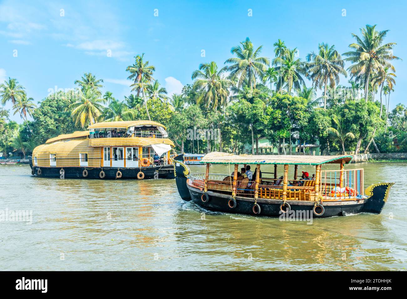 Indian traditional houseboats floating on Pamba river, with palms at the coastline, Alappuzha ...