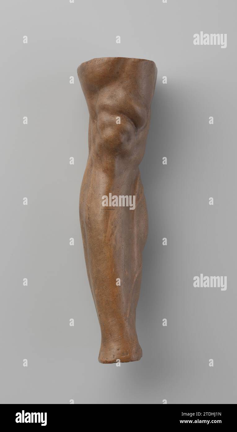 Study Models of Parts of the Body, Johan Gregor van der Schardt ...