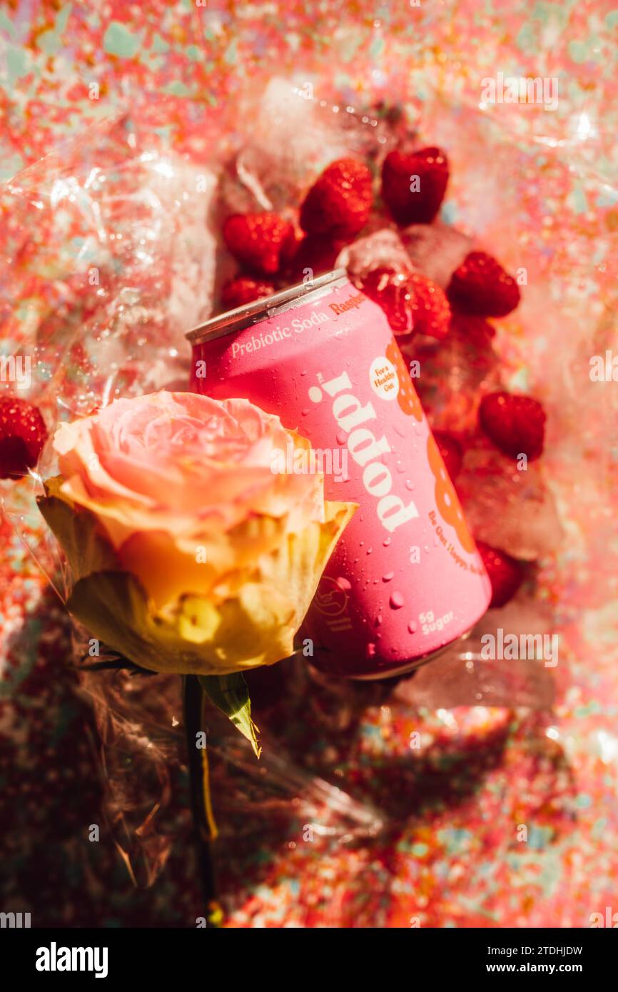 still life with pink 12 oz can of Poppi Prebiotic Soda Raspberry Rose ...