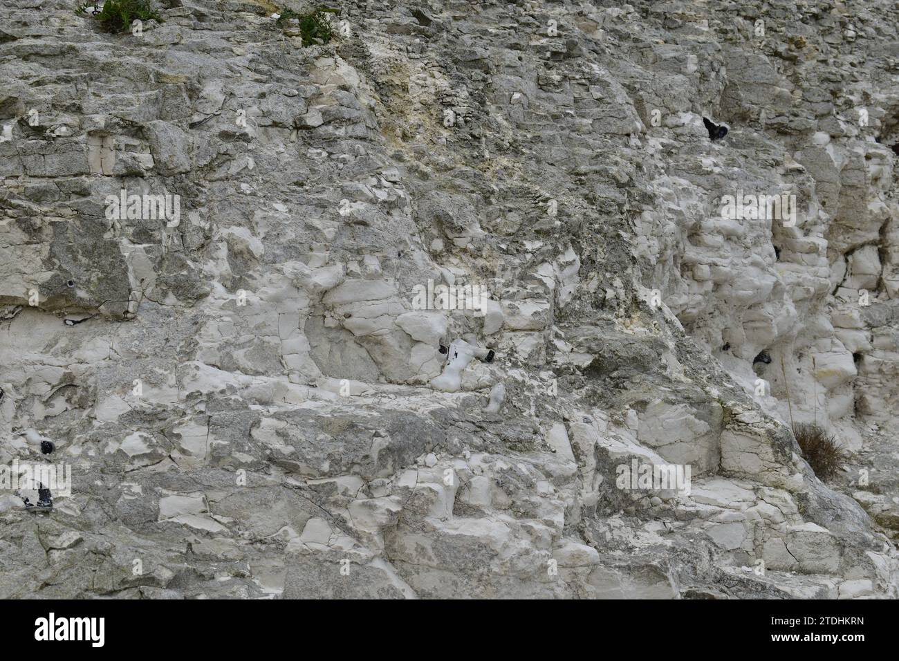 Cretaceous cliffs dover hi-res stock photography and images - Alamy