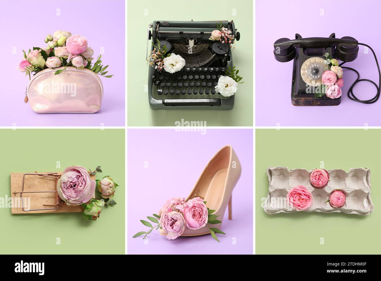 Collage of different items with beautiful flowers on lilac and green ...