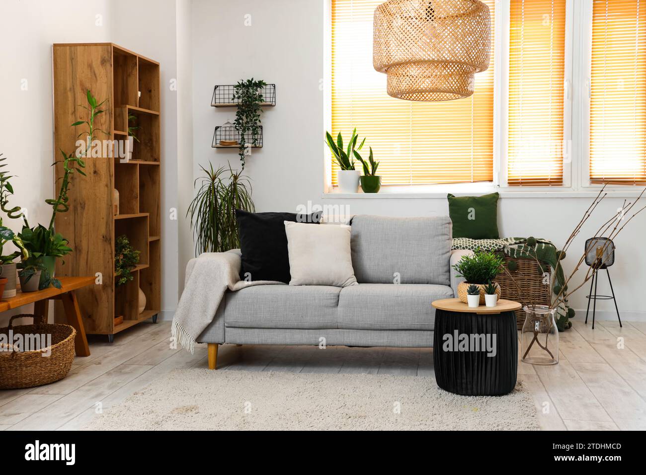 Interior of light living room with sofa and houseplants Stock Photo - Alamy