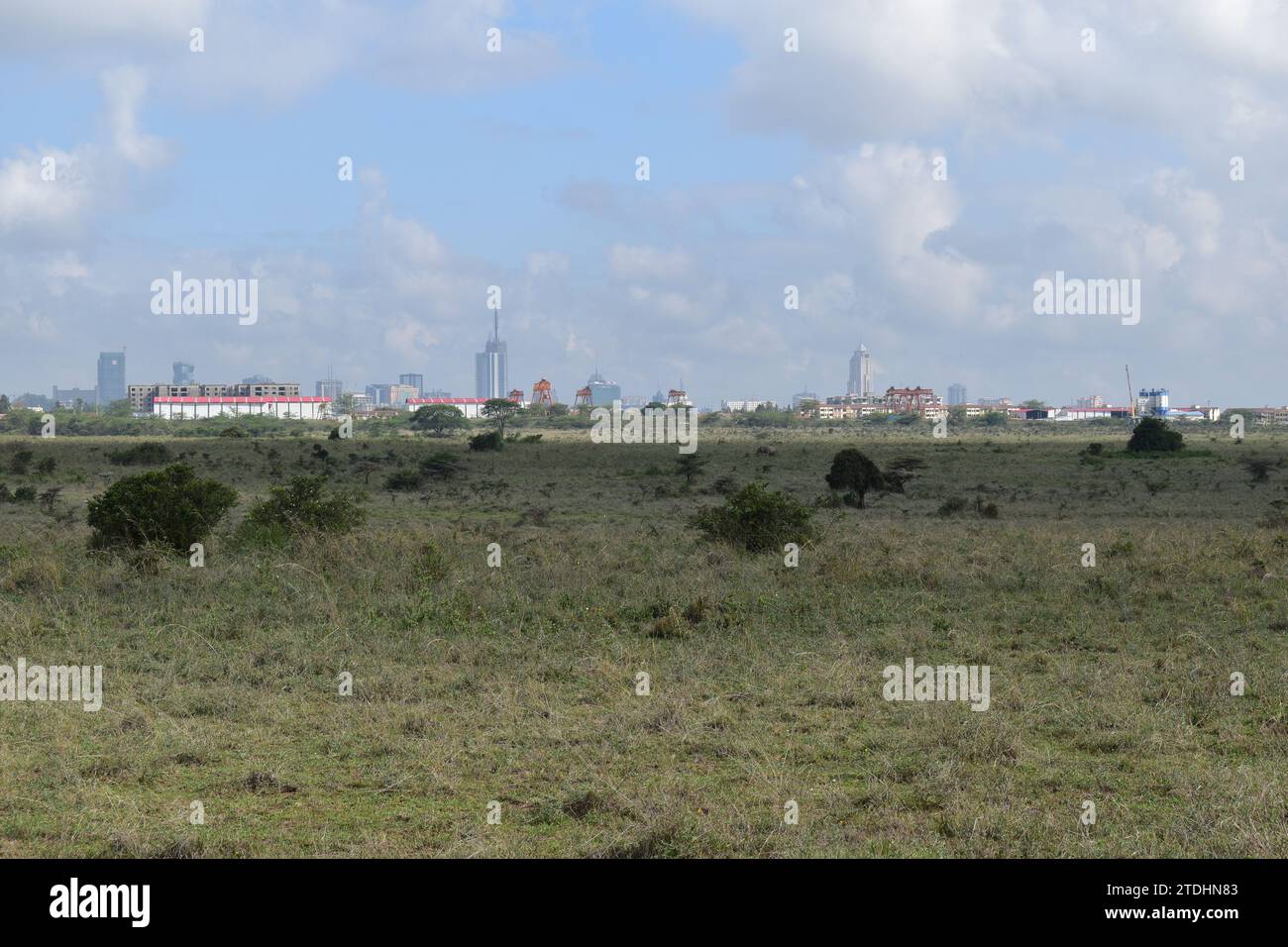 View of the savannah scenery in Nairobi National Park with the skyline ...