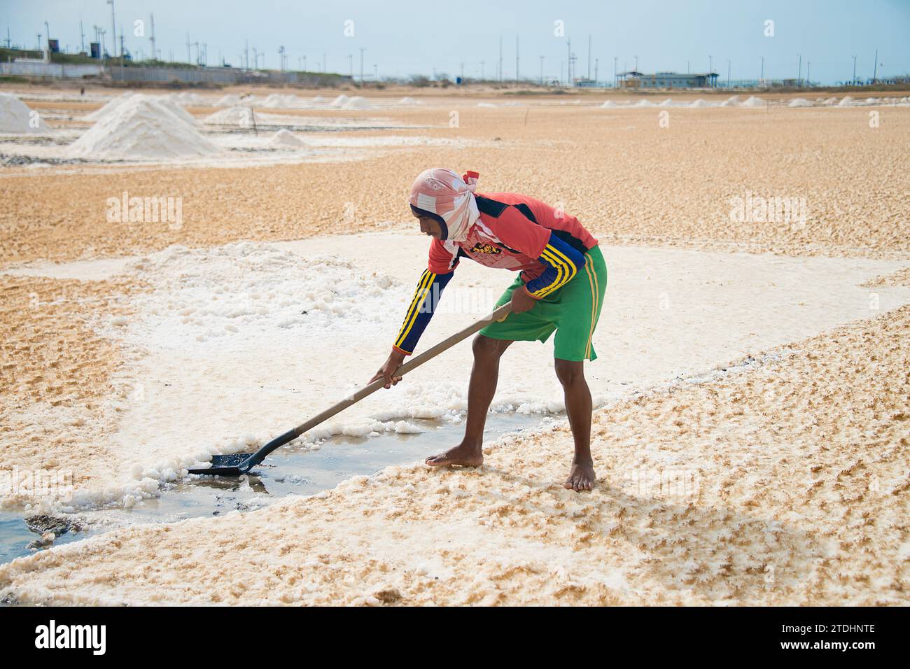 Man extracting salt in the mines of Manaure Stock Photo - Alamy