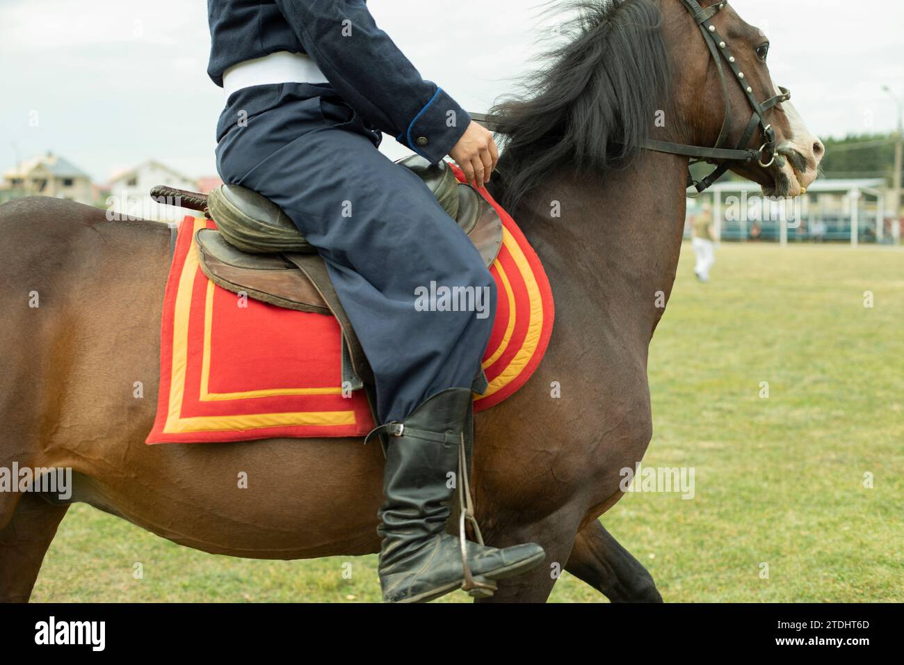 Horse rider in Russia. Horseback riding. Military animal. Details of ...