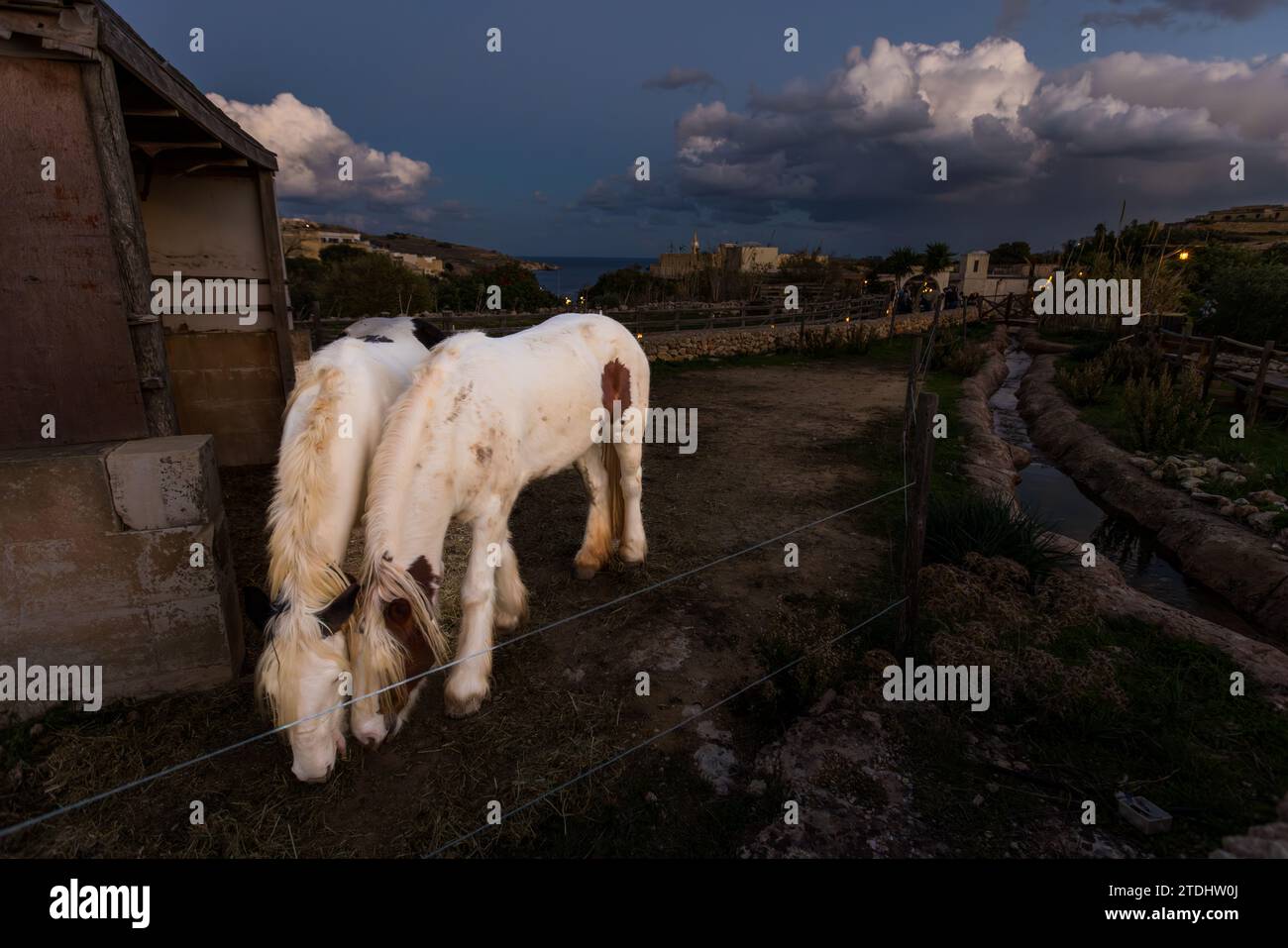 The animals in front of the stable in Bethlehem are also real in the ...