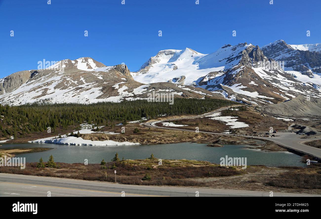 Landscape with Mount Athabasca - Jasper NP, Canada Stock Photo - Alamy