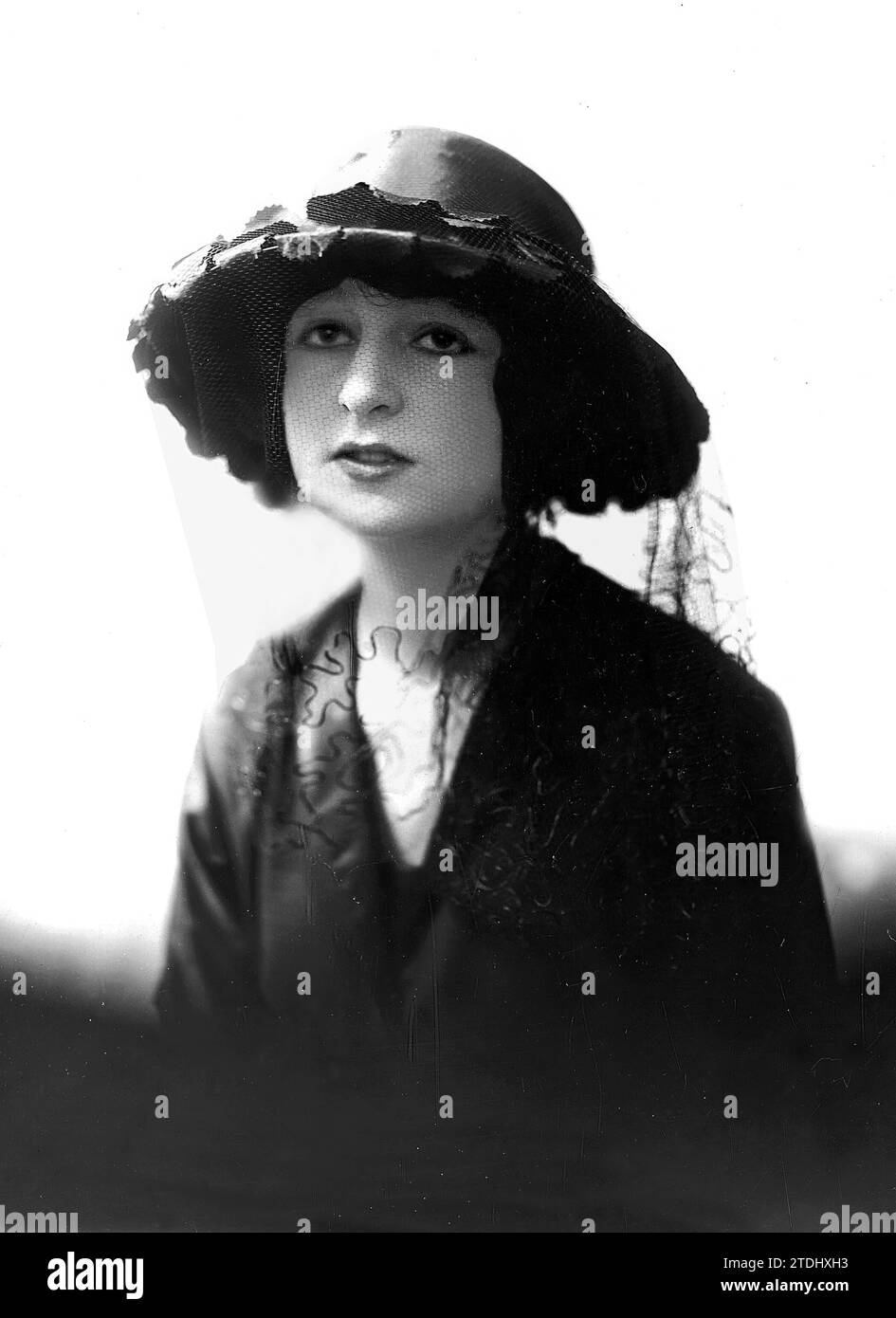 Navy blue bird hi-res stock photography and images - Alamy