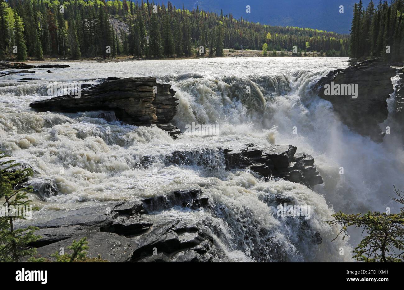 Athabasca alberta hi-res stock photography and images - Alamy
