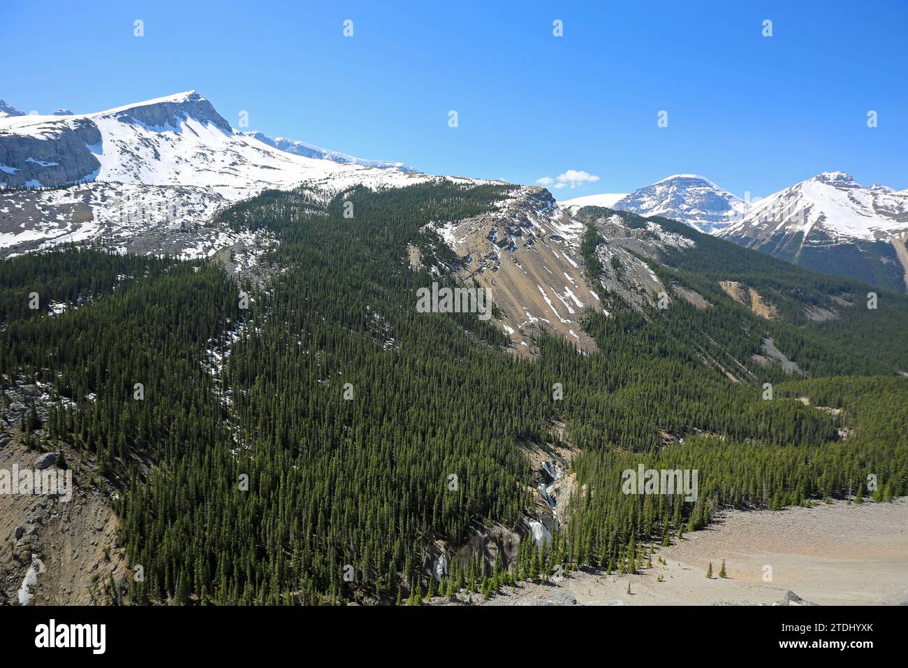 Sunwapta valley hi-res stock photography and images - Alamy