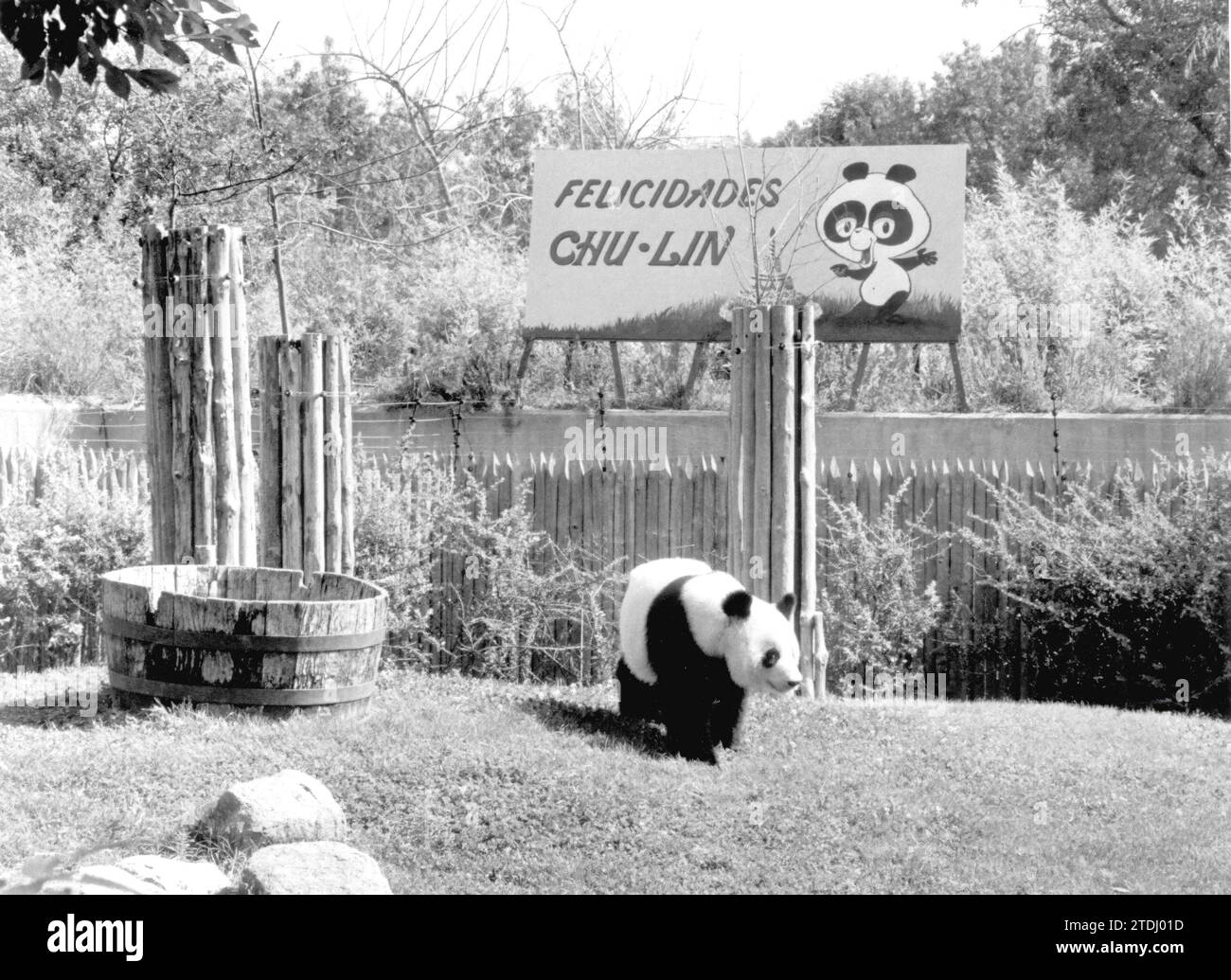 09/03/1983. Chu Llin at the Casa de Campo zoo. Credit: Album / Archivo ...
