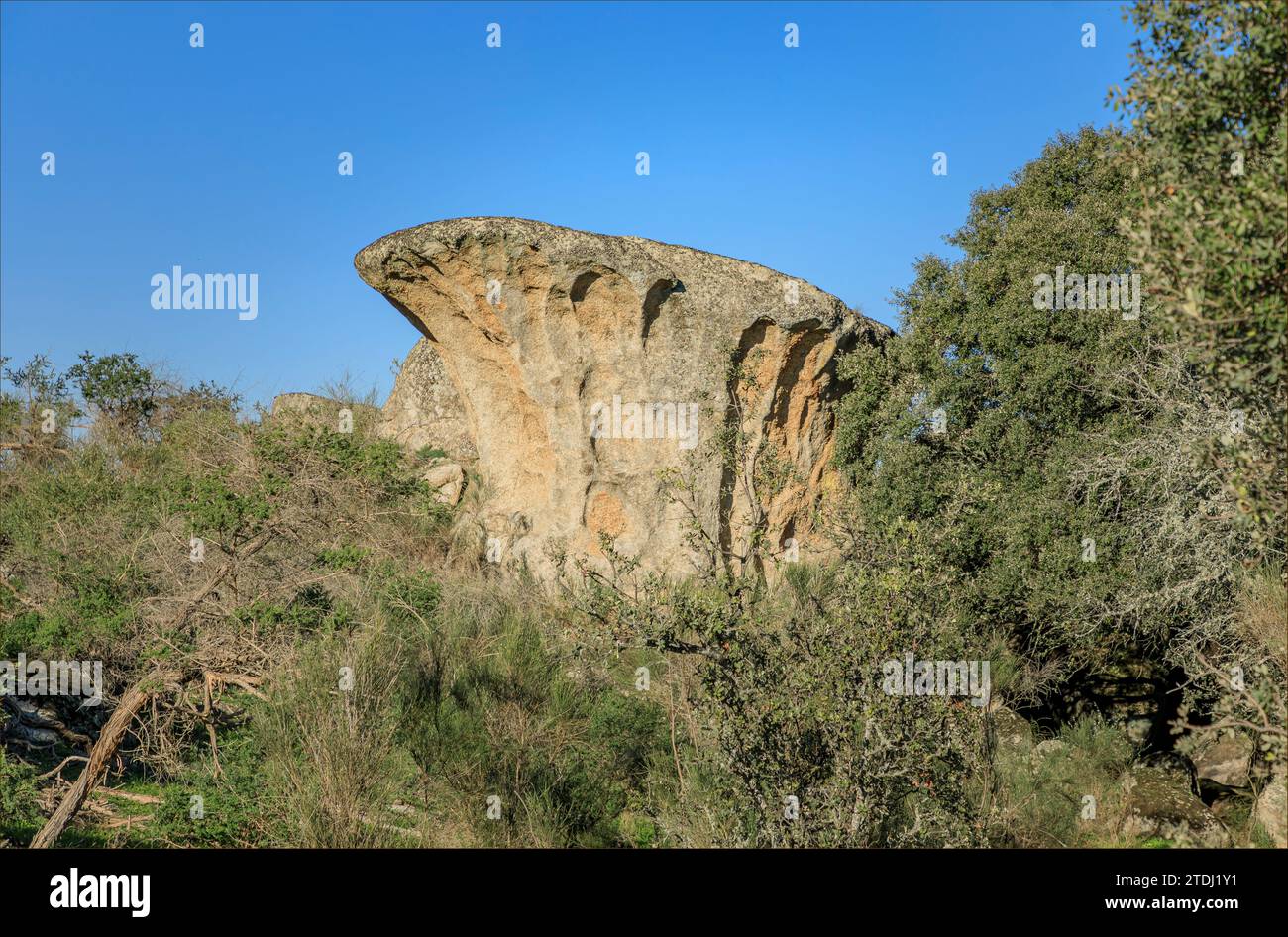 Strange shaped granite boulder eroded and gradually worn away by time ...