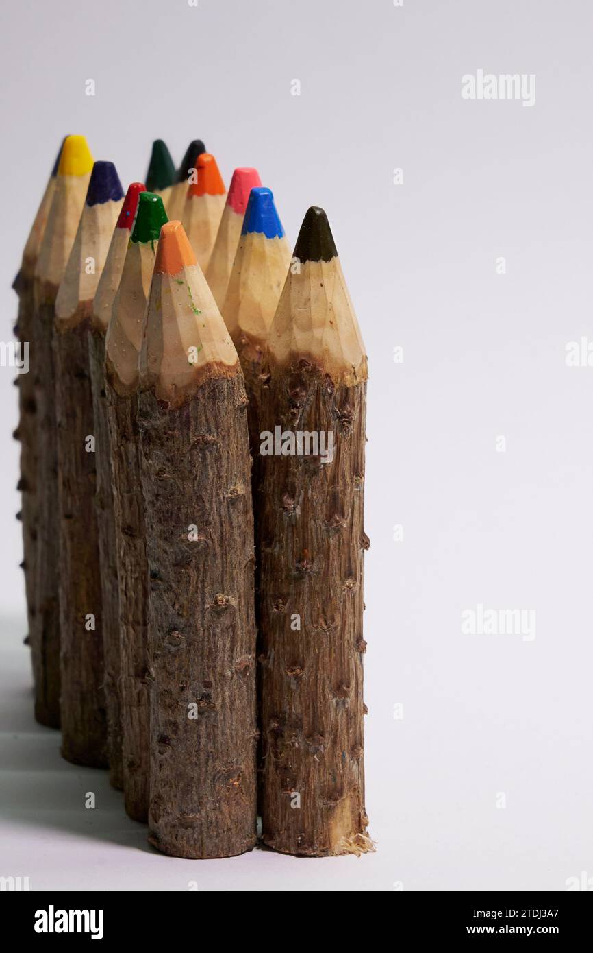 Original colored pencils, made with tree branches of the same size on a ...