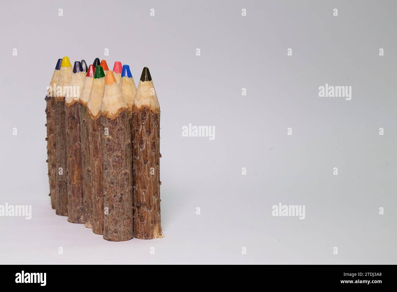 Original colored pencils, made with tree branches of the same size on a ...