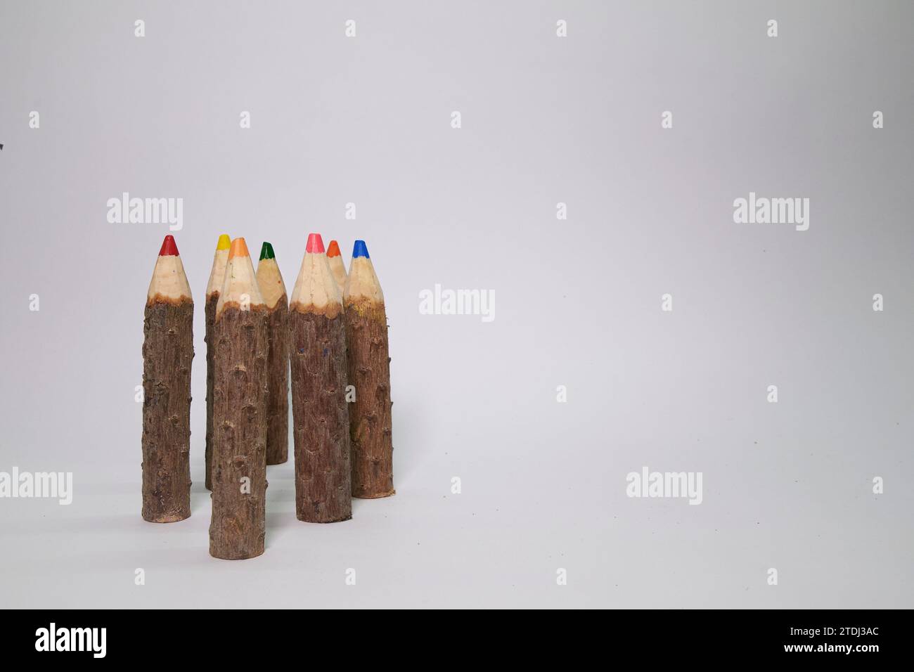 Original colored pencils, made with tree branches of the same size on a ...