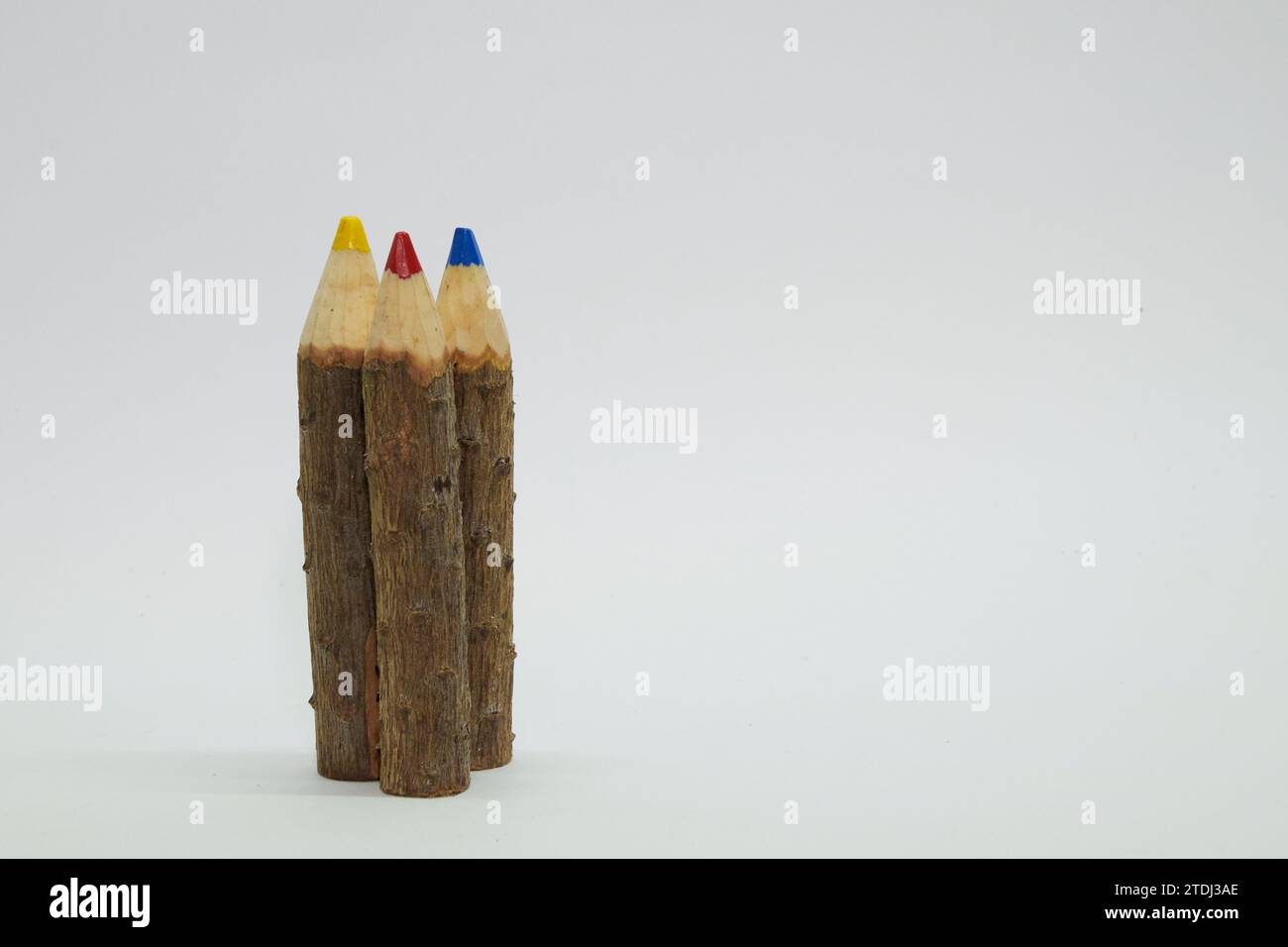 Original colored pencils, made with tree branches of the same size on a ...