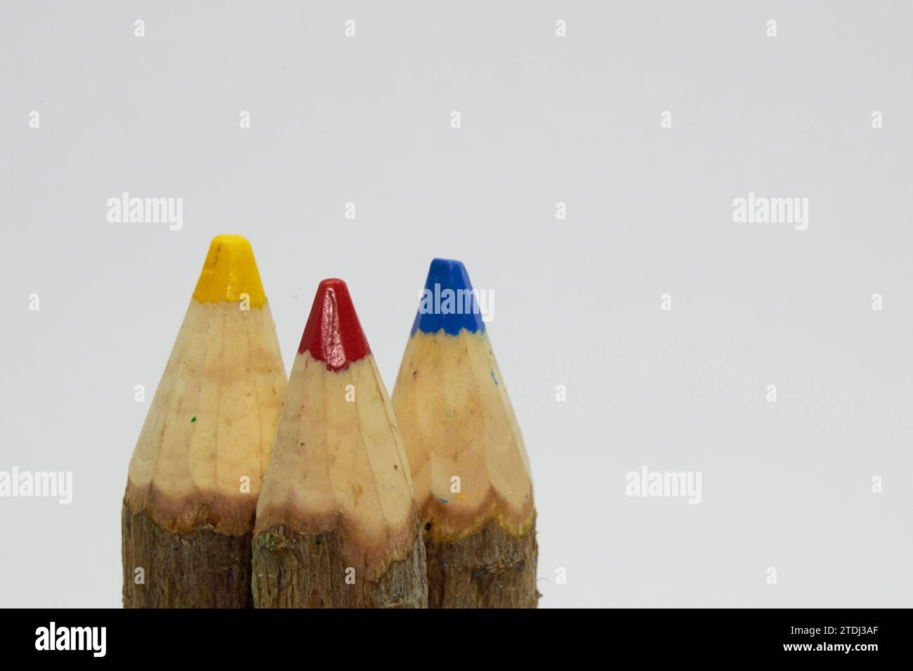 Original colored pencils, made with tree branches of the same size on a ...